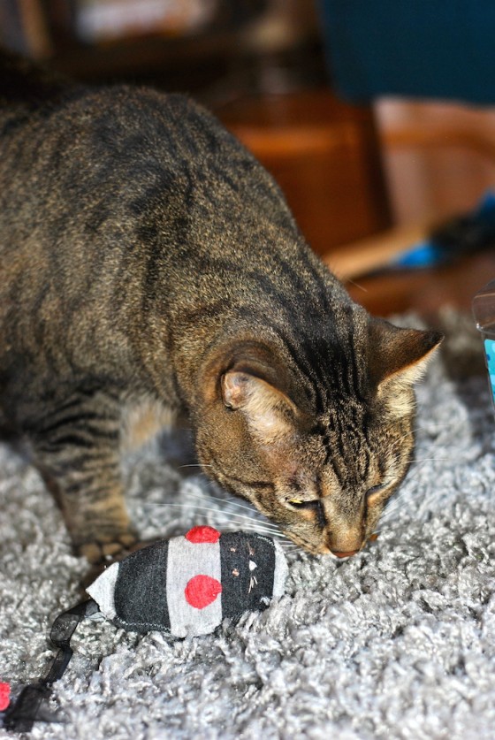 DIY Catnip Mouse: Free Cat Toy Pattern - Craftbuds