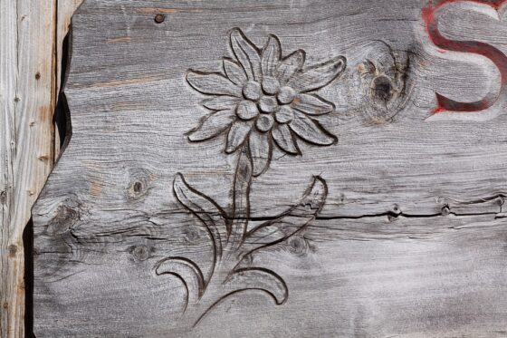 How to Engrave Wood? Dremel, Router, Chisel & Cricut - Craftbuds