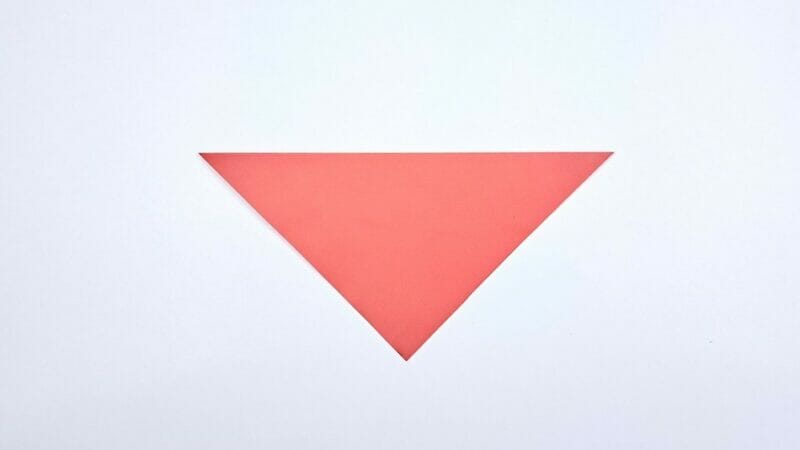 How To Make An Origami Crane Step-By-Step With Videos