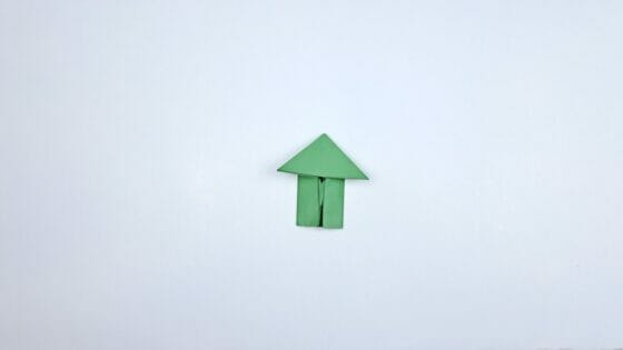 How To Make An Origami Frog Step-by-Step Video Tutorial