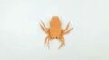 The Art of Origami: Unfold the World of Paper Folding