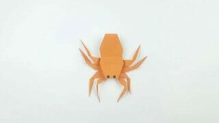 The Art of Origami: Unfold the World of Paper Folding