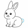 Learn How to Draw a Bunny Easy Step-by-Step Video Tutorial