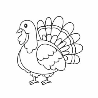 Learn How to Draw a Turkey for Kids & Beginners, Video Guide