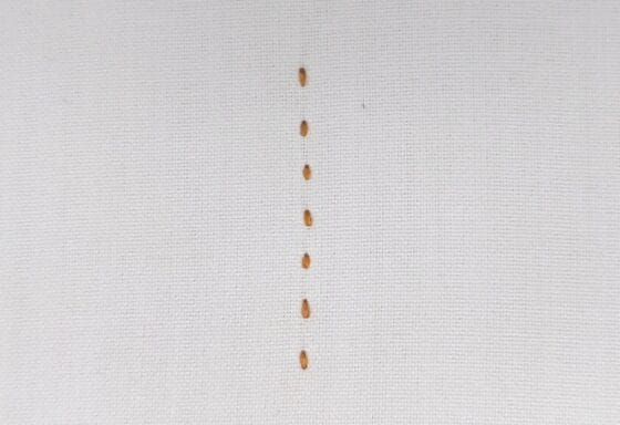 The Embroidery Running Stitch: Variations & Applications