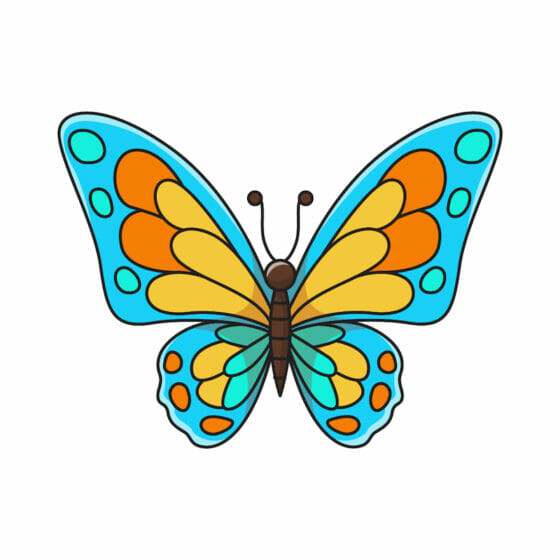 How to Draw a Butterfly - Easy Step-by-Step Video Tutorial