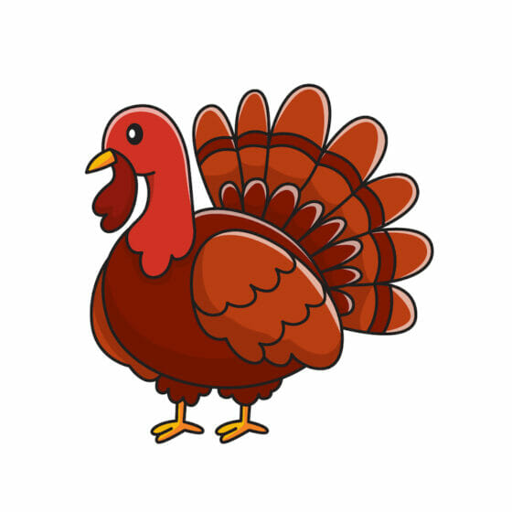 Learn How to Draw a Turkey for Kids & Beginners, Video Guide