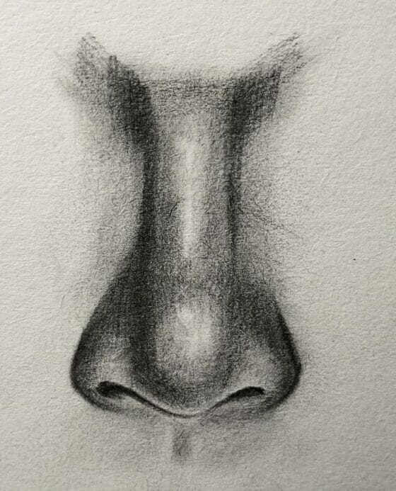 How to Draw a Nose - Easy Step-by-Step Video Tutorial