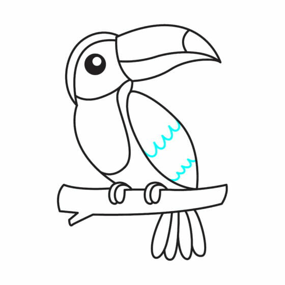 How to Draw a Toucan - Easy Step-by-Step Video Guide