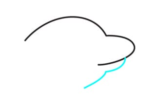 Learn How to Draw a Dolphin - Easy Step-by-Step Video Guide