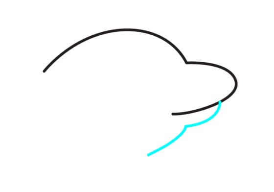 Learn How to Draw a Dolphin - Easy Step-by-Step Video Guide
