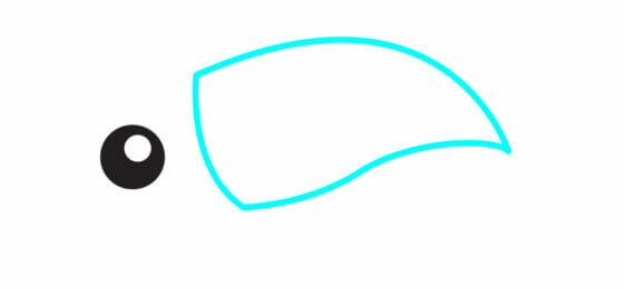 How to Draw a Toucan - Easy Step-by-Step Video Guide