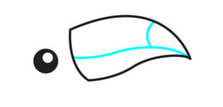 How to Draw a Toucan - Easy Step-by-Step Video Guide