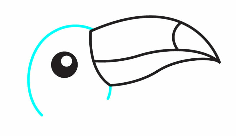 How to Draw a Toucan - Easy Step-by-Step Video Guide