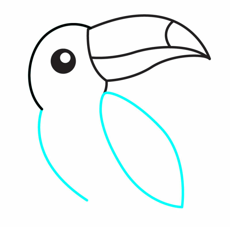 How to Draw a Toucan - Easy Step-by-Step Video Guide