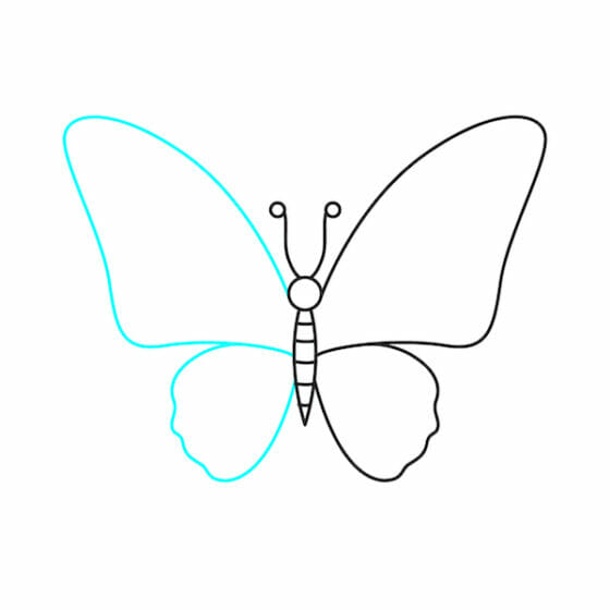 How to Draw a Butterfly - Easy Step-by-Step Video Tutorial