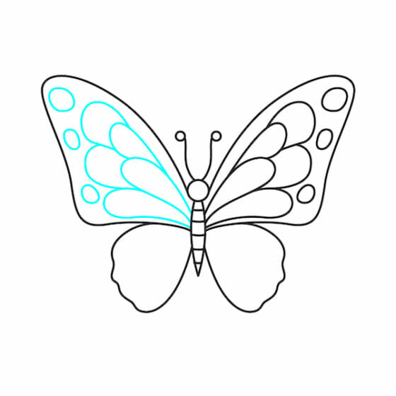 How to Draw a Butterfly - Easy Step-by-Step Video Tutorial
